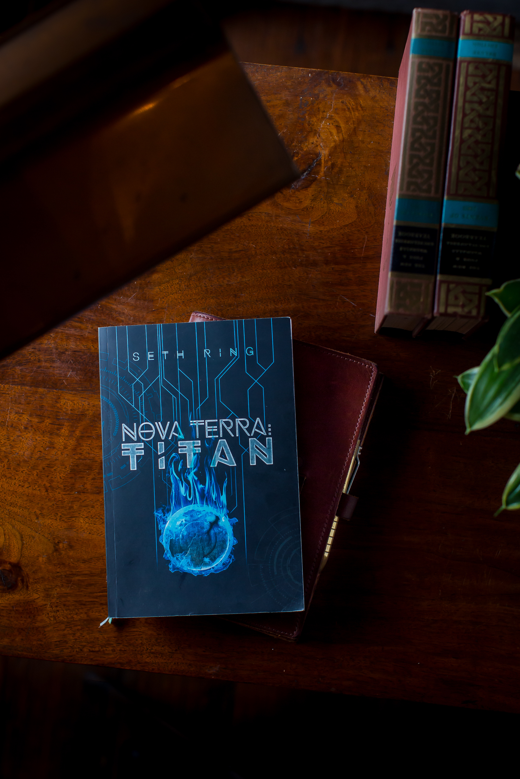 About Seth Ring - Seth Ring | LitRPG Author